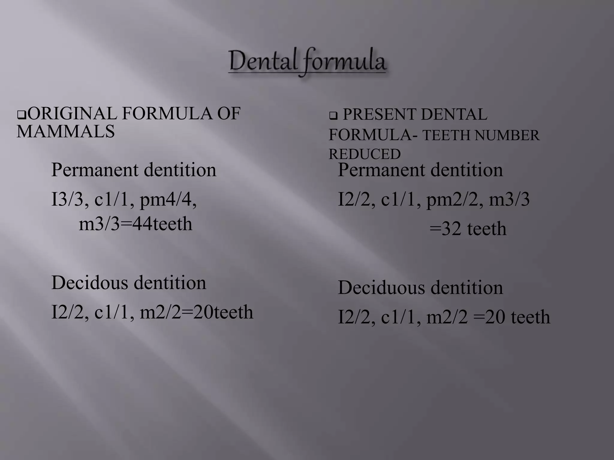 development of dentition and occlusion | PPTX