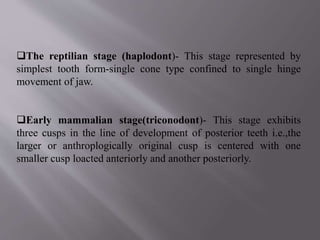 development of dentition and occlusion | PPTX