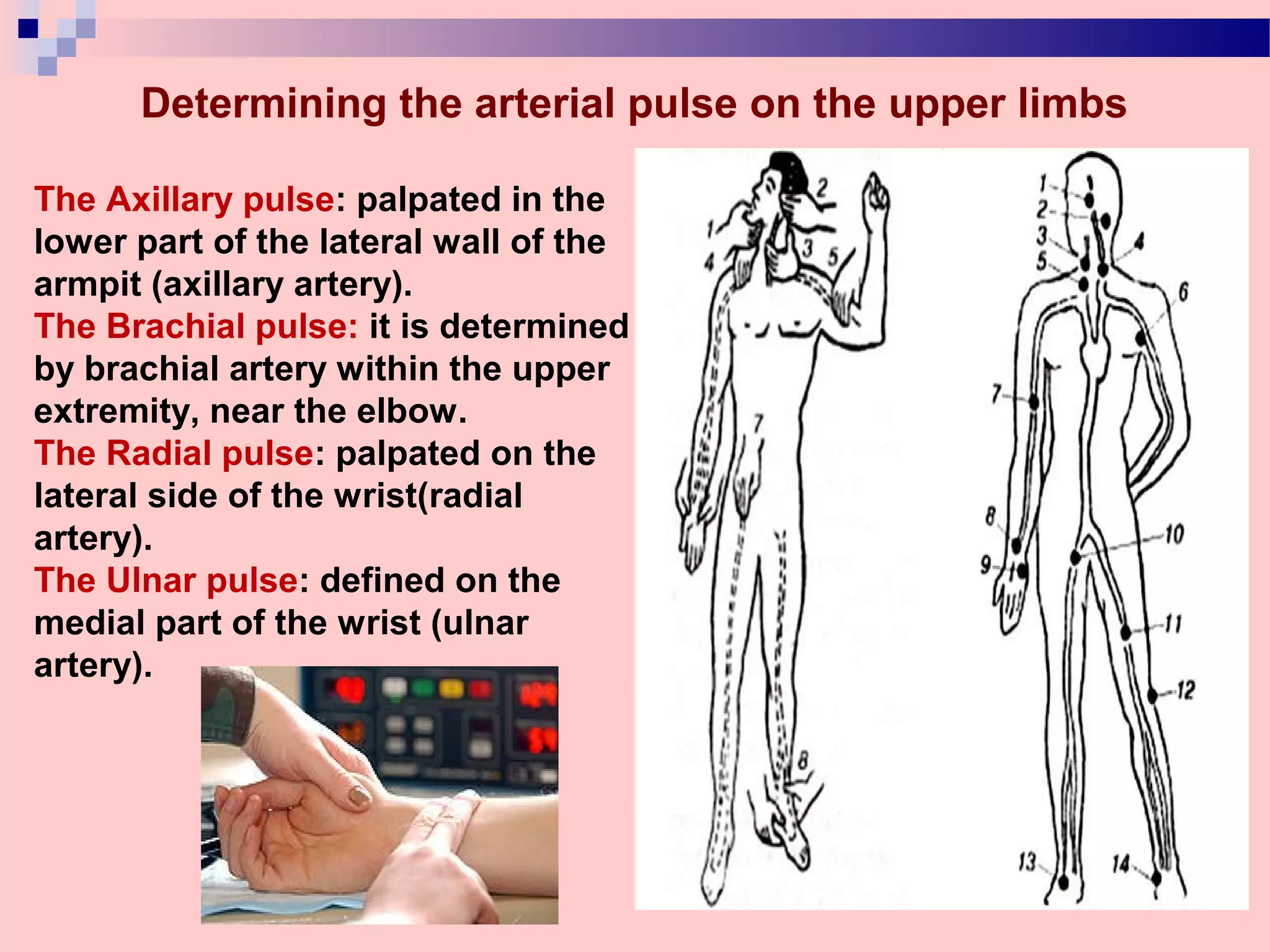 Blood supply & innervation of upper limb | PPT