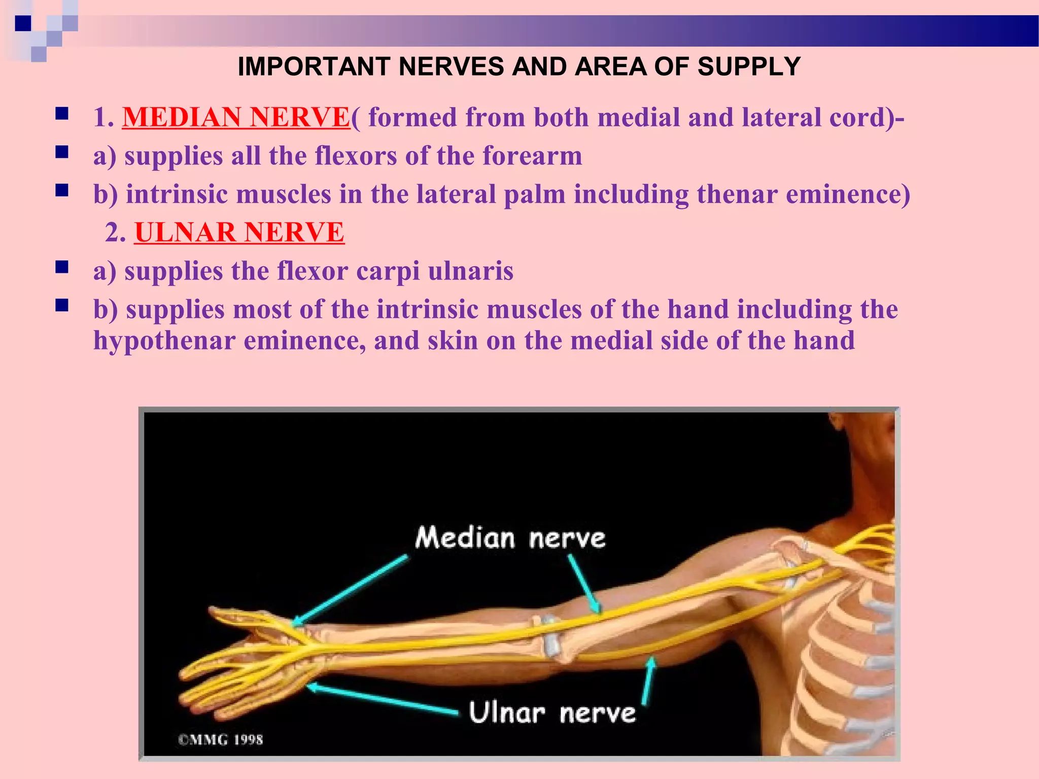 Blood supply & innervation of upper limb | PPT