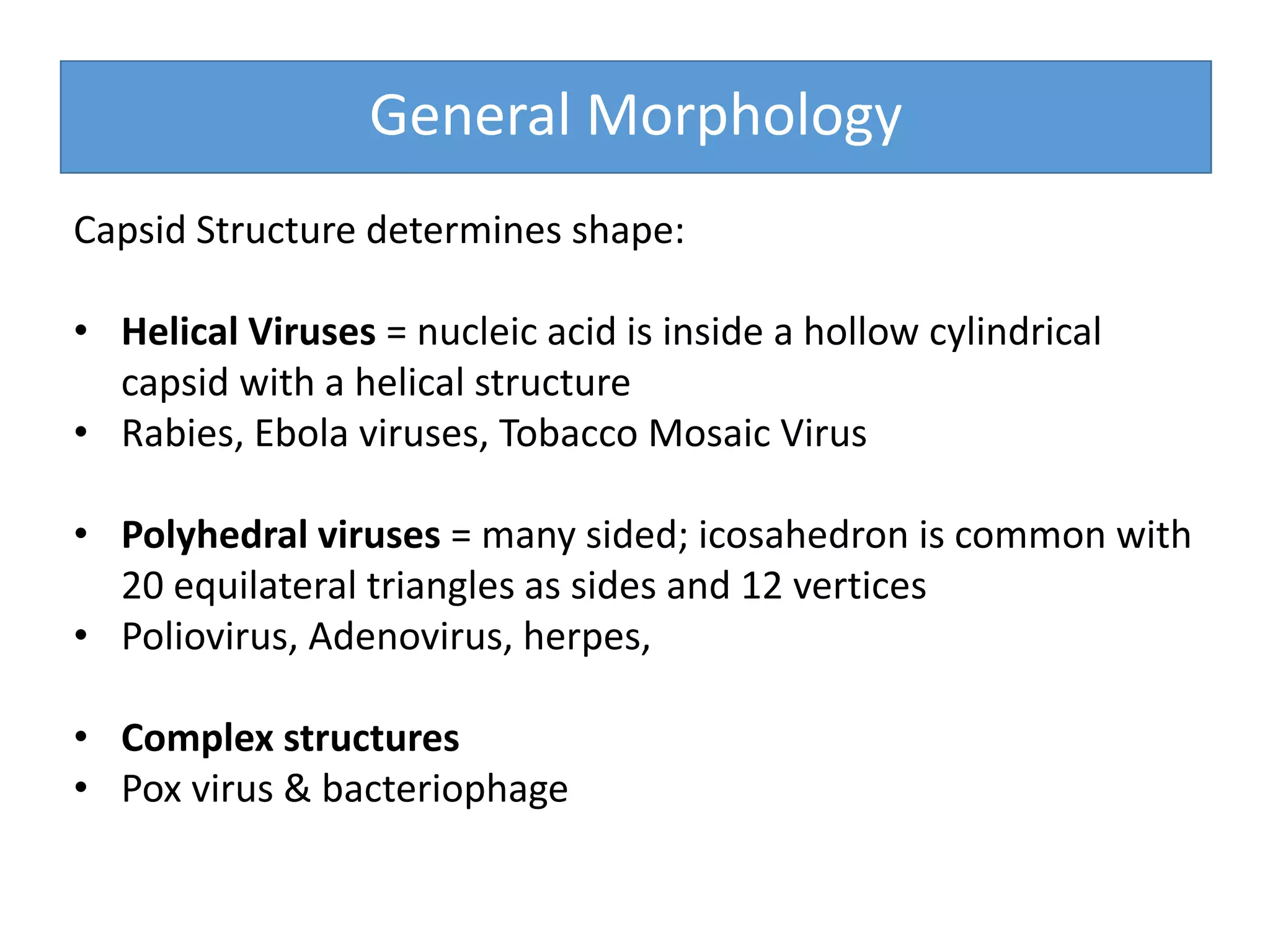 Virus structure | PPTX
