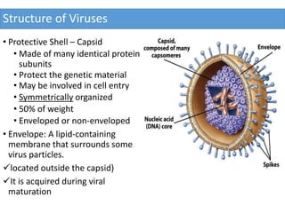 General Virus Structure