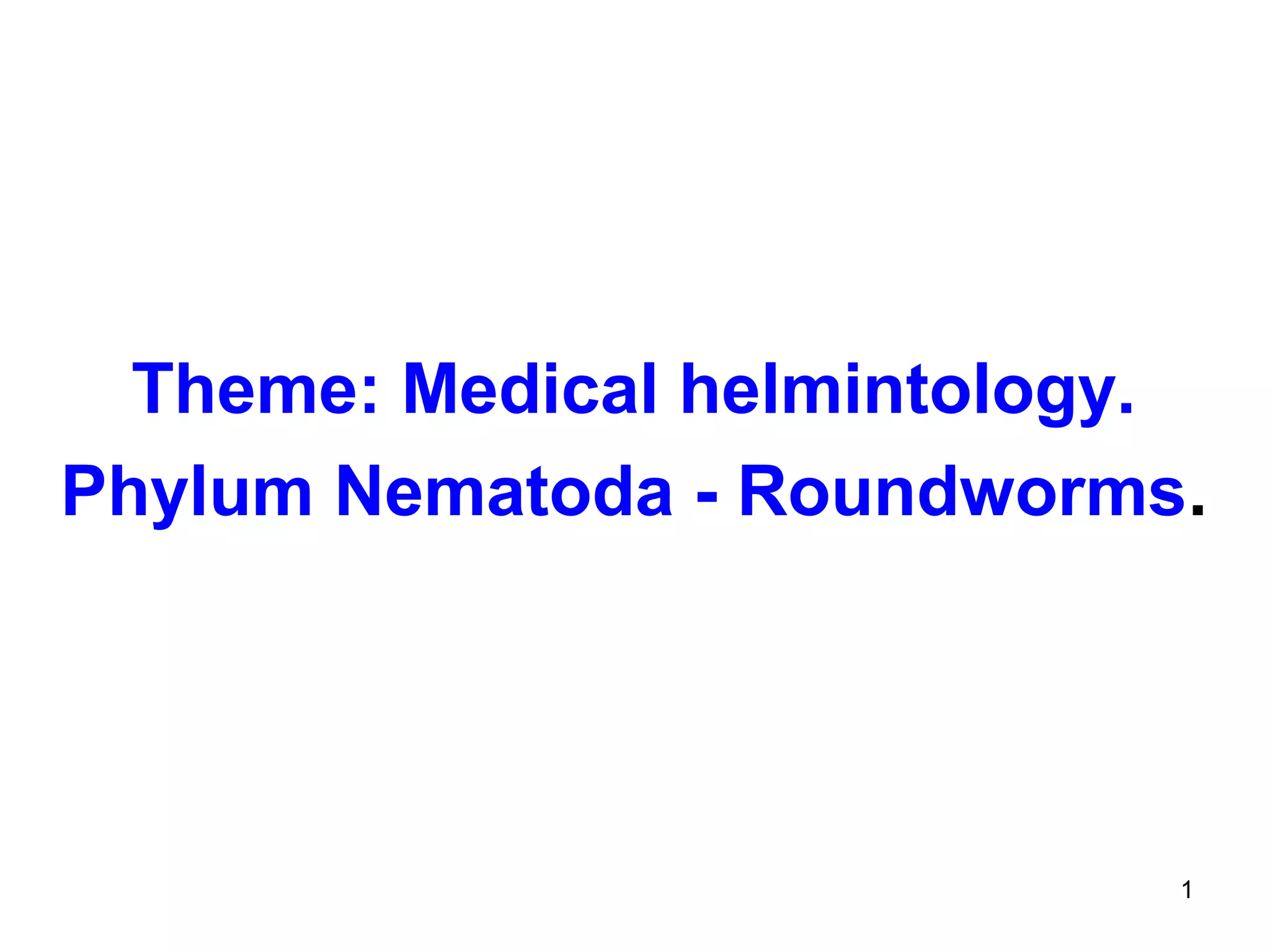 Phylum Nematoda. Roundworms | PPT