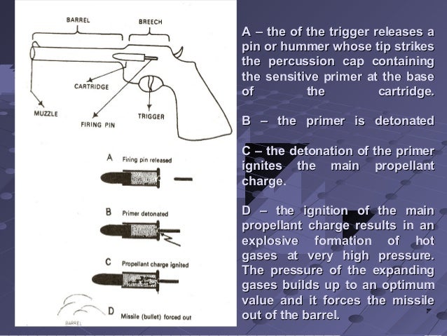 Forensic Medicine. Firearm