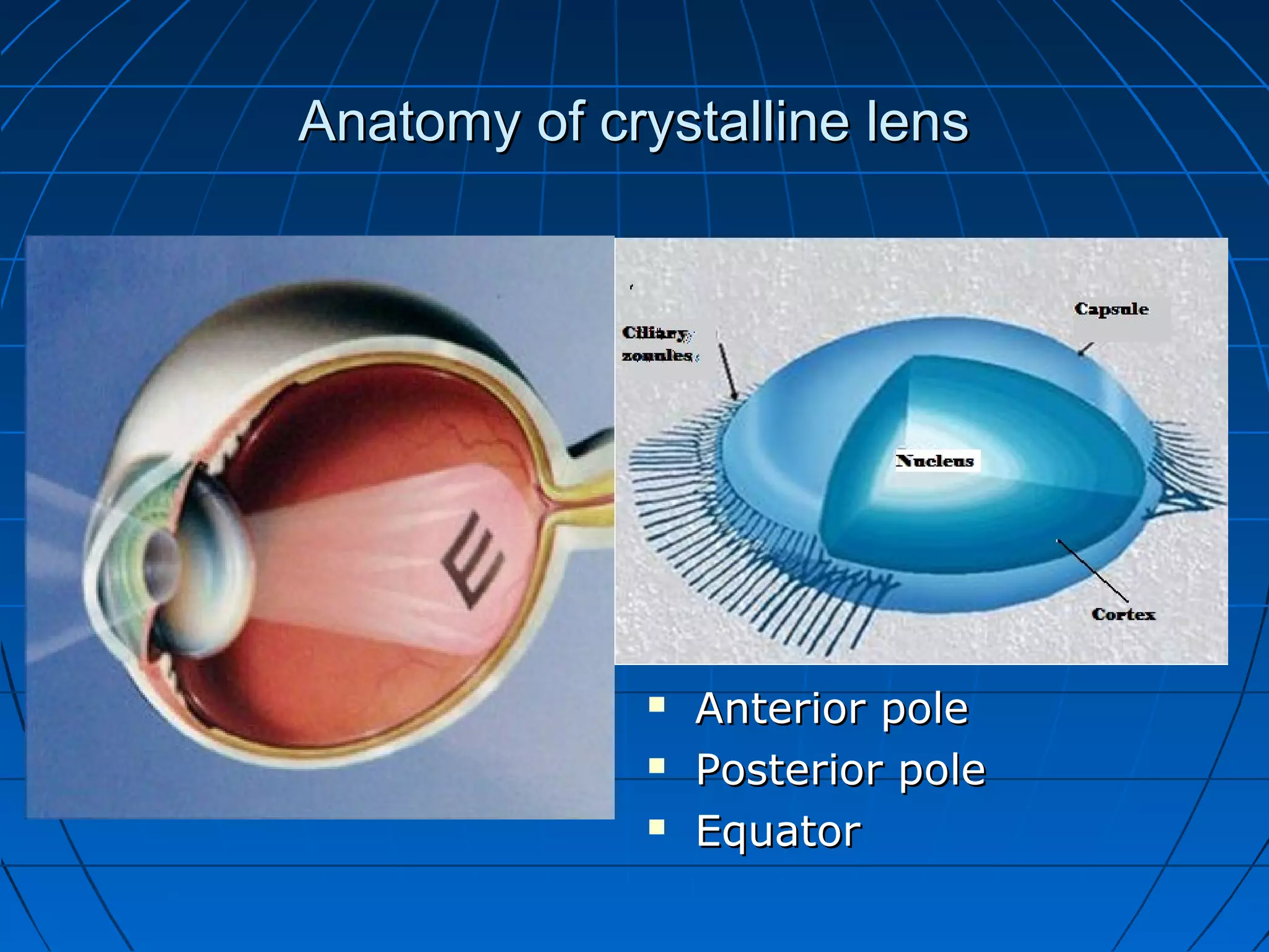 Pathology of lens. Glaucoma | PPT