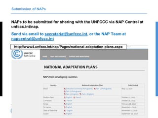 Introduction to NAP Central, resources and online questionnaire | PDF