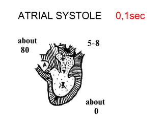 External manifestations of cardiac activity. Regulation of heart work ...
