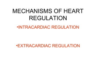 External manifestations of cardiac activity. Regulation of heart work ...