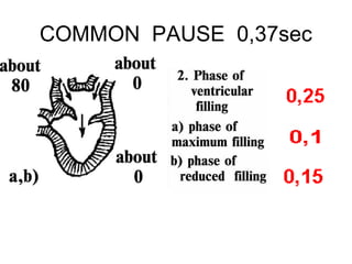 External manifestations of cardiac activity. Regulation of heart work ...
