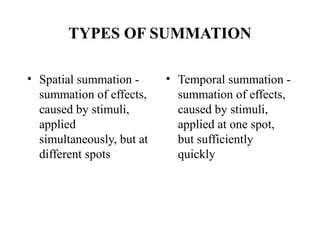 Neuron Structure | PPT