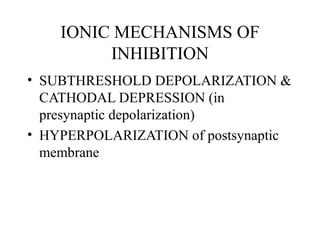 Neuron Structure | PPT