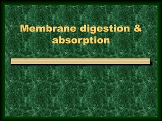 Membrane digestion & absorption | PPT