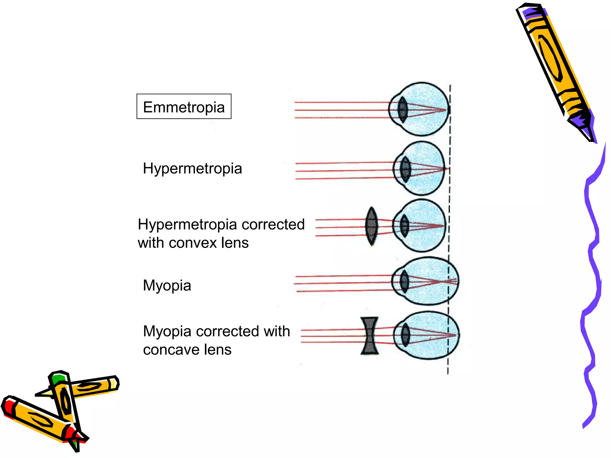 Physiology of vision | PPT