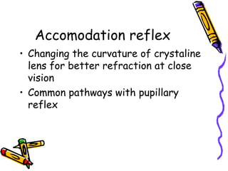 Physiology of vision | PPT