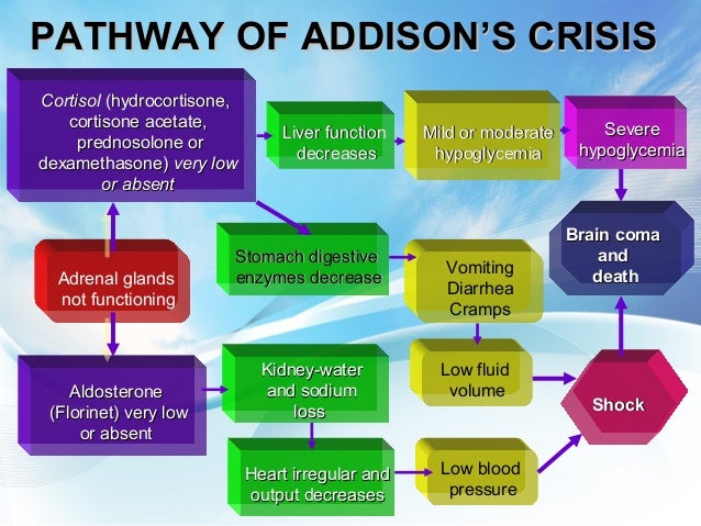 Adrenal Disorders. Addison’s Crisis