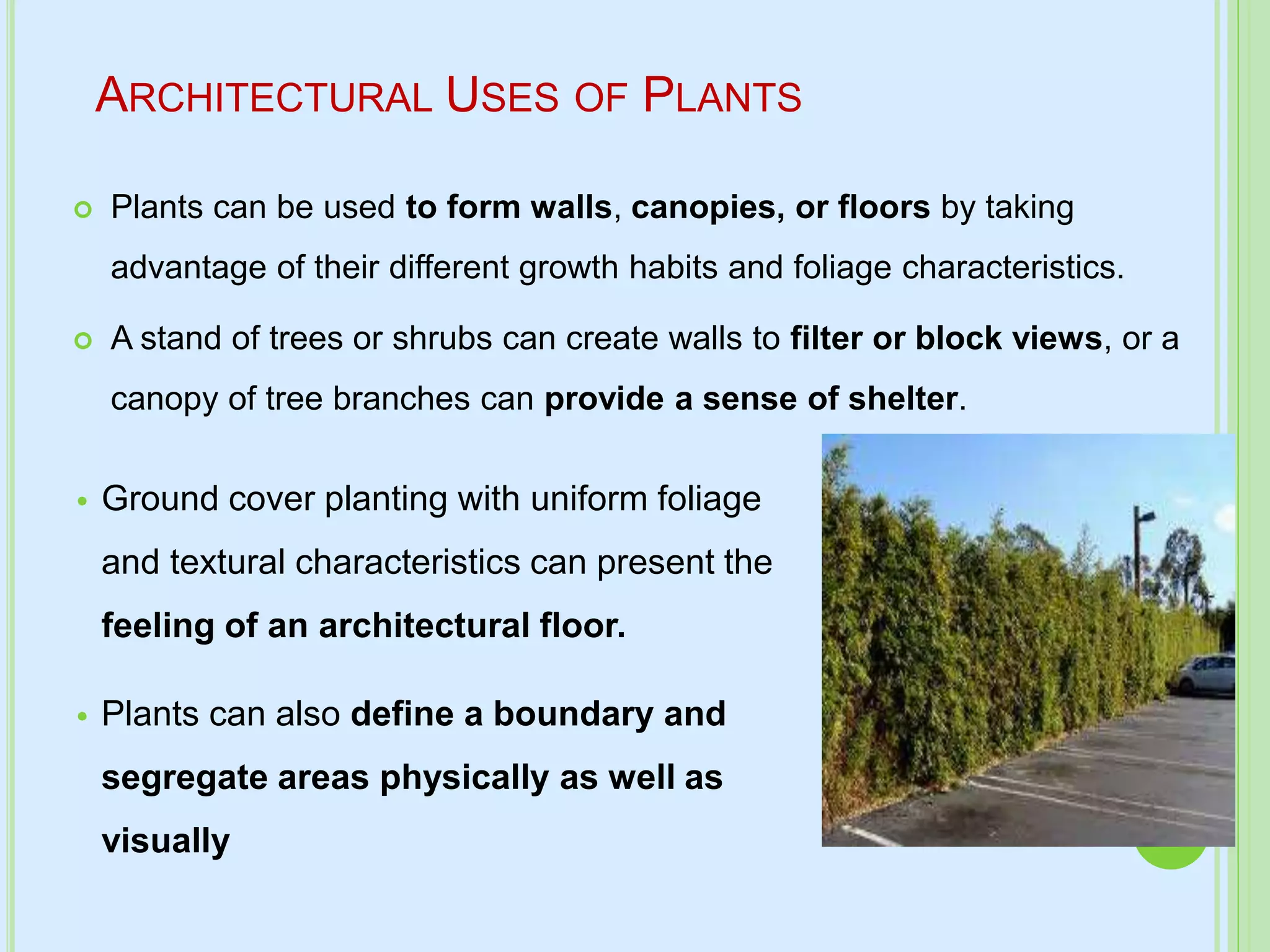 Planting considerations for Landscape project | PPTX