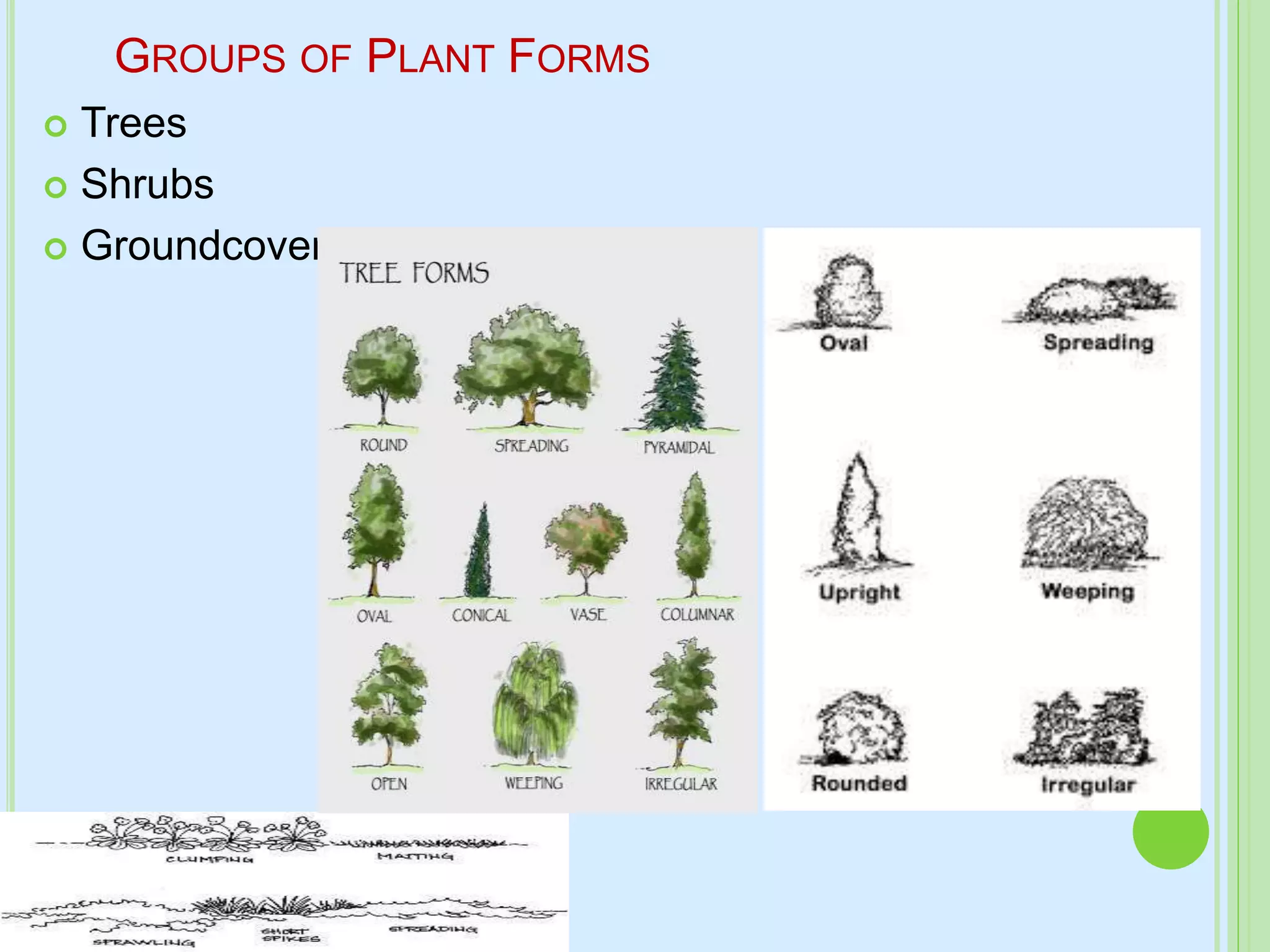 Planting considerations for Landscape project | PPTX