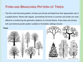 Planting considerations for Landscape project | PPTX