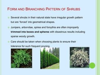 Planting considerations for Landscape project | PPTX