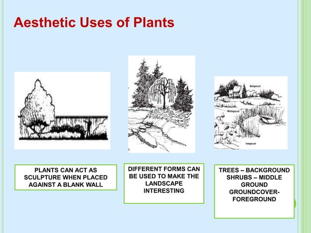 Planting considerations for Landscape project | PPTX | Gardening | Home ...