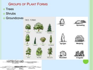 Planting considerations for Landscape project | PPTX