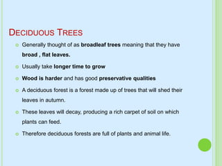 Planting considerations for Landscape project | PPTX