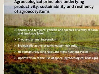4.Agro ecology principles , A Presentation By Mr. Allah Dad Khan ...