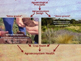 4.Agro ecology principles , A Presentation By Mr. Allah Dad Khan ...