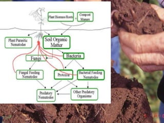 4.Agro ecology principles , A Presentation By Mr. Allah Dad Khan ...