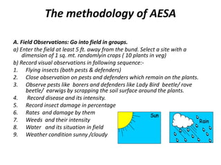 4.Farmers field school (agro ecosystem analysis (AESA) A Series of ...