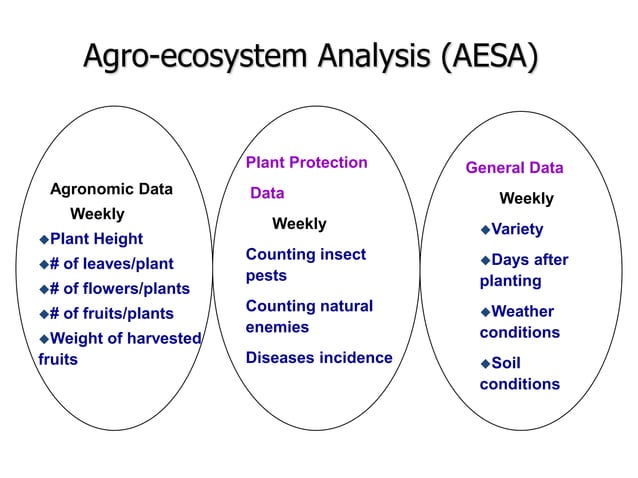 4.Farmers field school (agro ecosystem analysis (AESA) A Series of ...