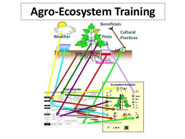 4.Farmers field school (agro ecosystem analysis (AESA) A Series of Le…