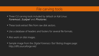 File carving tools | ODP | Photo Editing Software | Computer Software and Applications