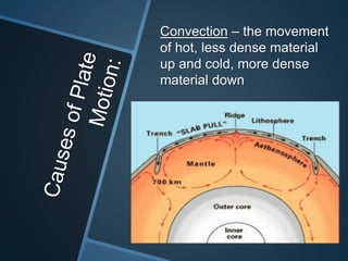 Marine Science Plate Tectonics Notes | PPTX