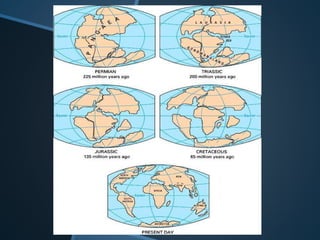 Marine Science Plate Tectonics Notes | PPT