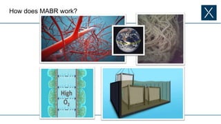 OxyMem - MABR Technology | PPTX
