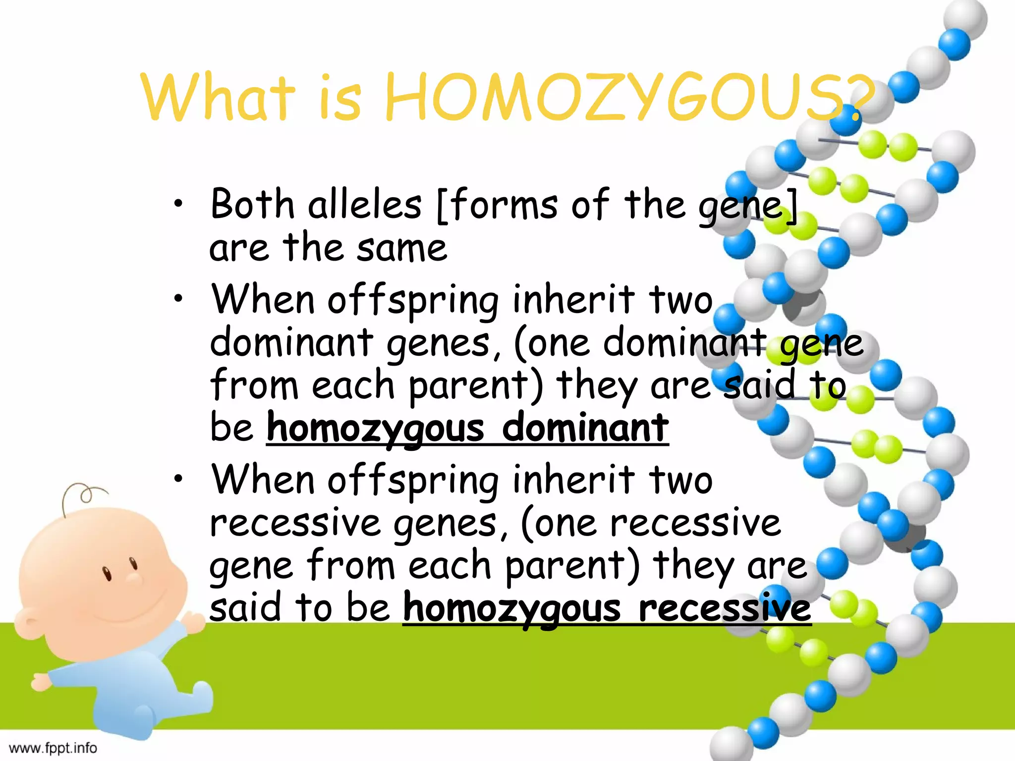 Biology: All about Genetics | PPT