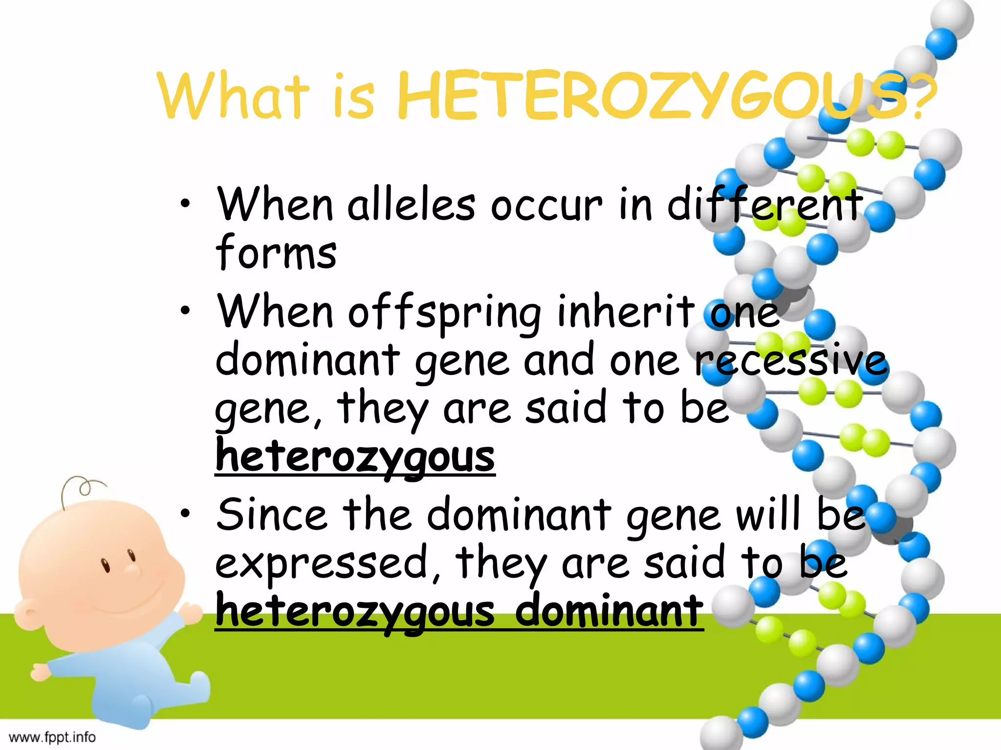 Biology: All about Genetics | PPT