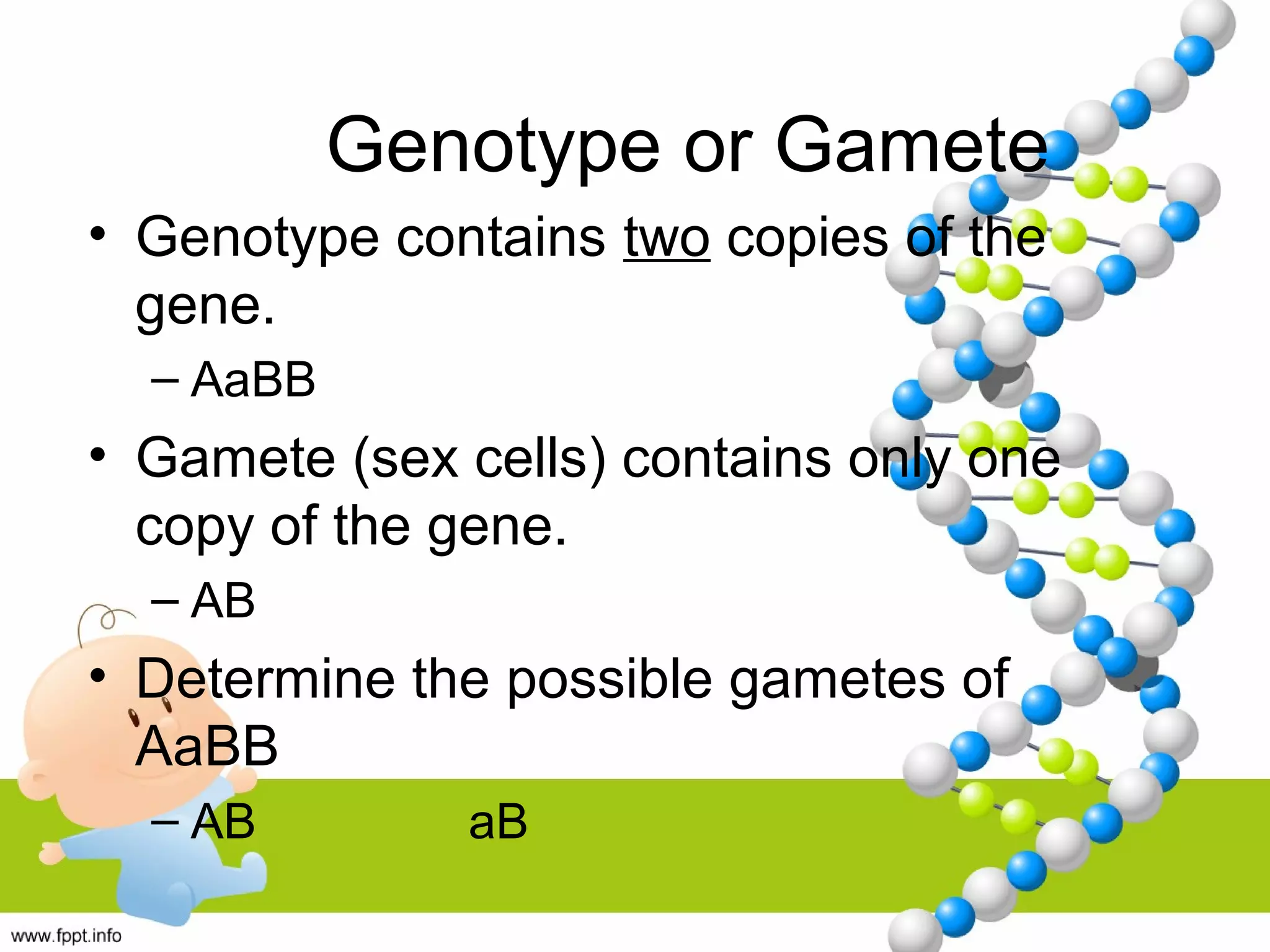 Biology: All about Genetics | PPT