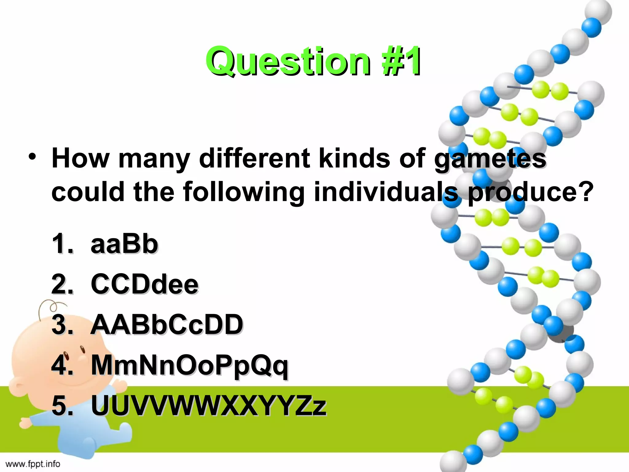 Biology: All about Genetics | PPT