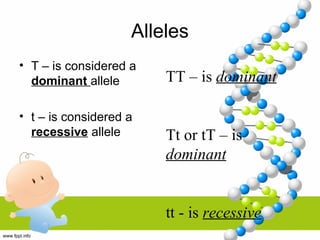 Biology: All about Genetics | PPT