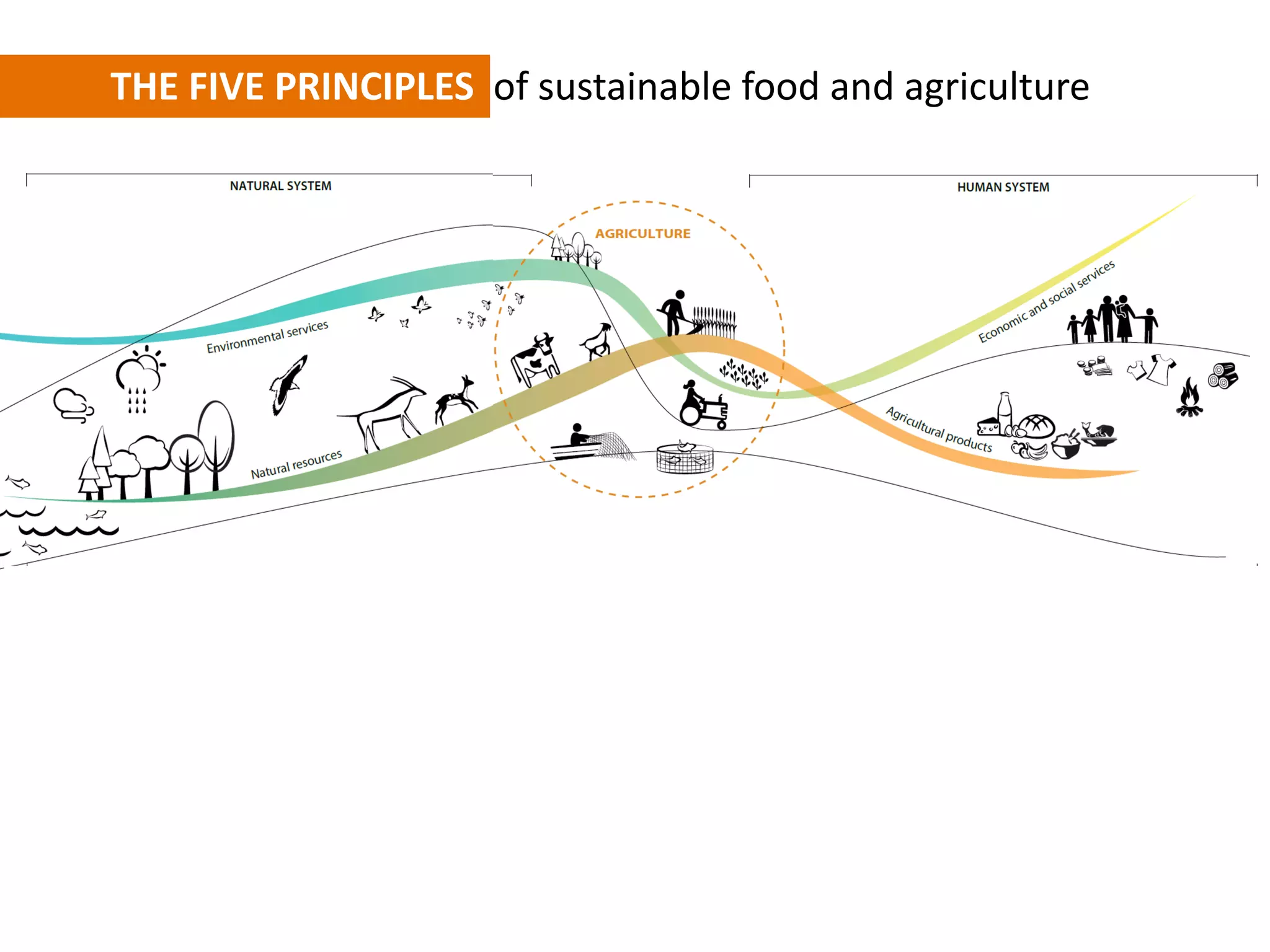 Innovation for Sustainable Food and Agriculture | PDF