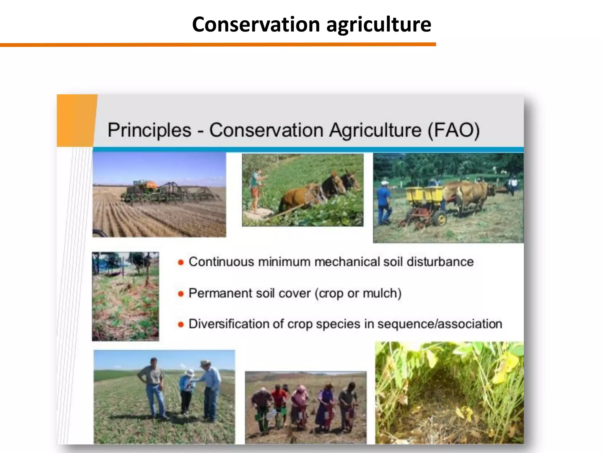 Innovation for Sustainable Food and Agriculture | PDF