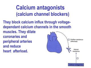 Calcium Antagonist | PPT
