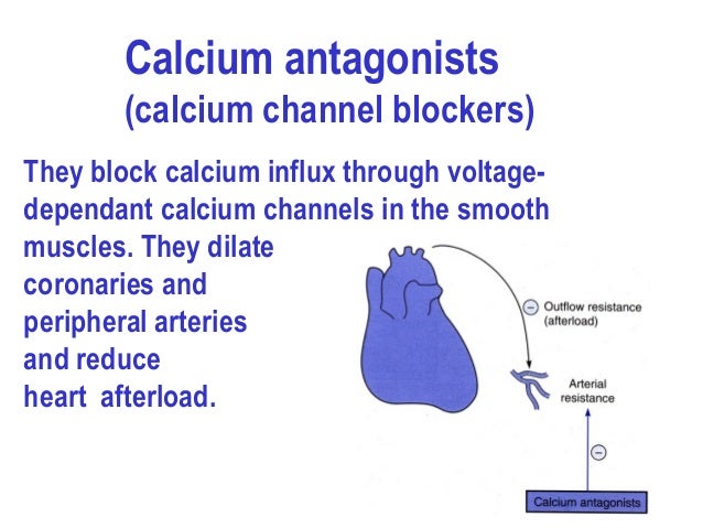 Calcium Antagonist