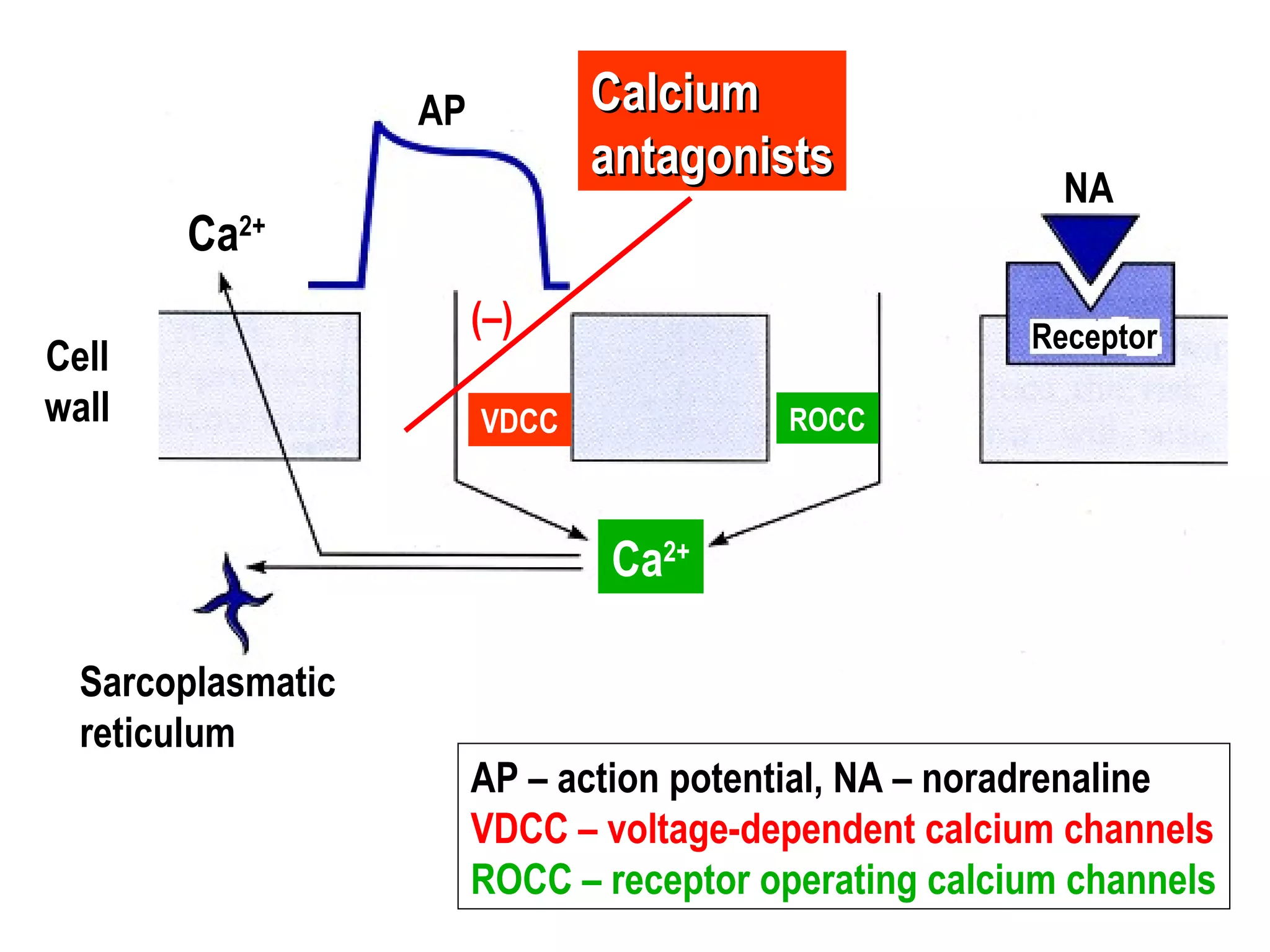 Anti-Anginal drugs | PPT