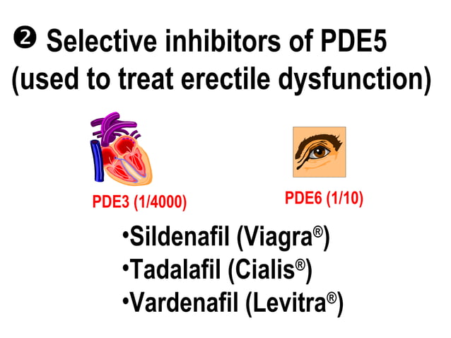 Peripheral Vasodilators | PPT