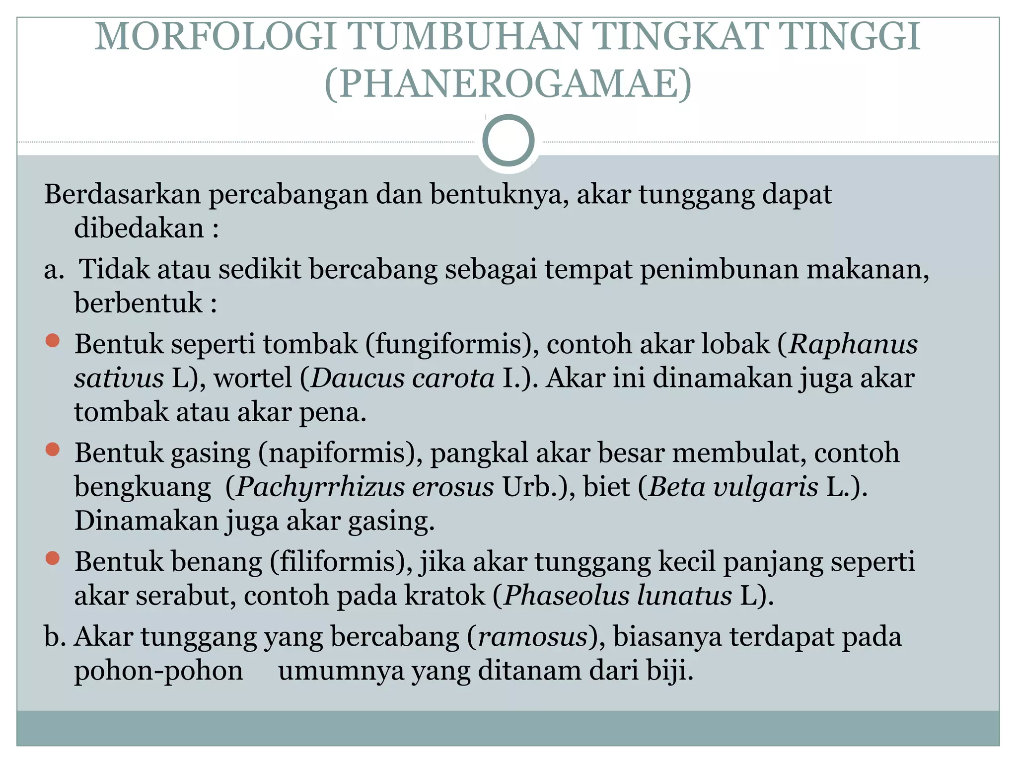 Biologi Tanaman : Terminologi dan morfologi tumbuhan tingkat rendah dan ...