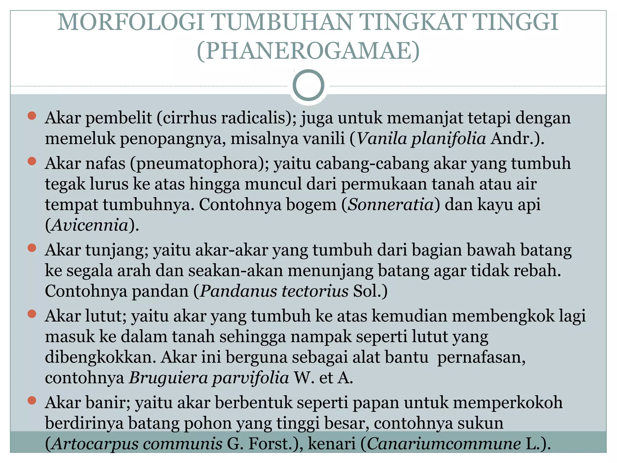 Biologi Tanaman : Terminologi dan morfologi tumbuhan tingkat rendah dan ...