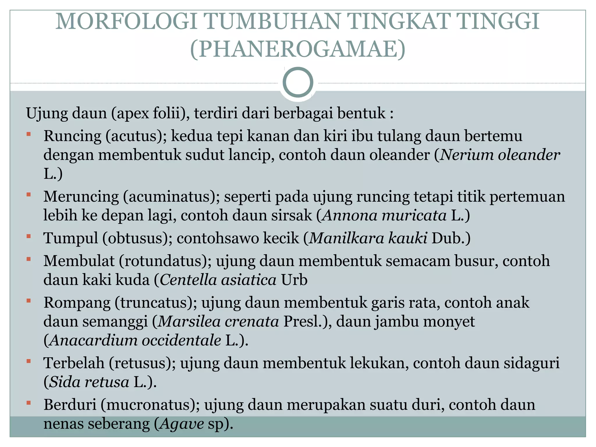 Biologi Tanaman : Terminologi dan morfologi tumbuhan tingkat rendah dan ...